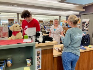 MACEDON PUBLIC LIBRARY – Connecting People and Ideas